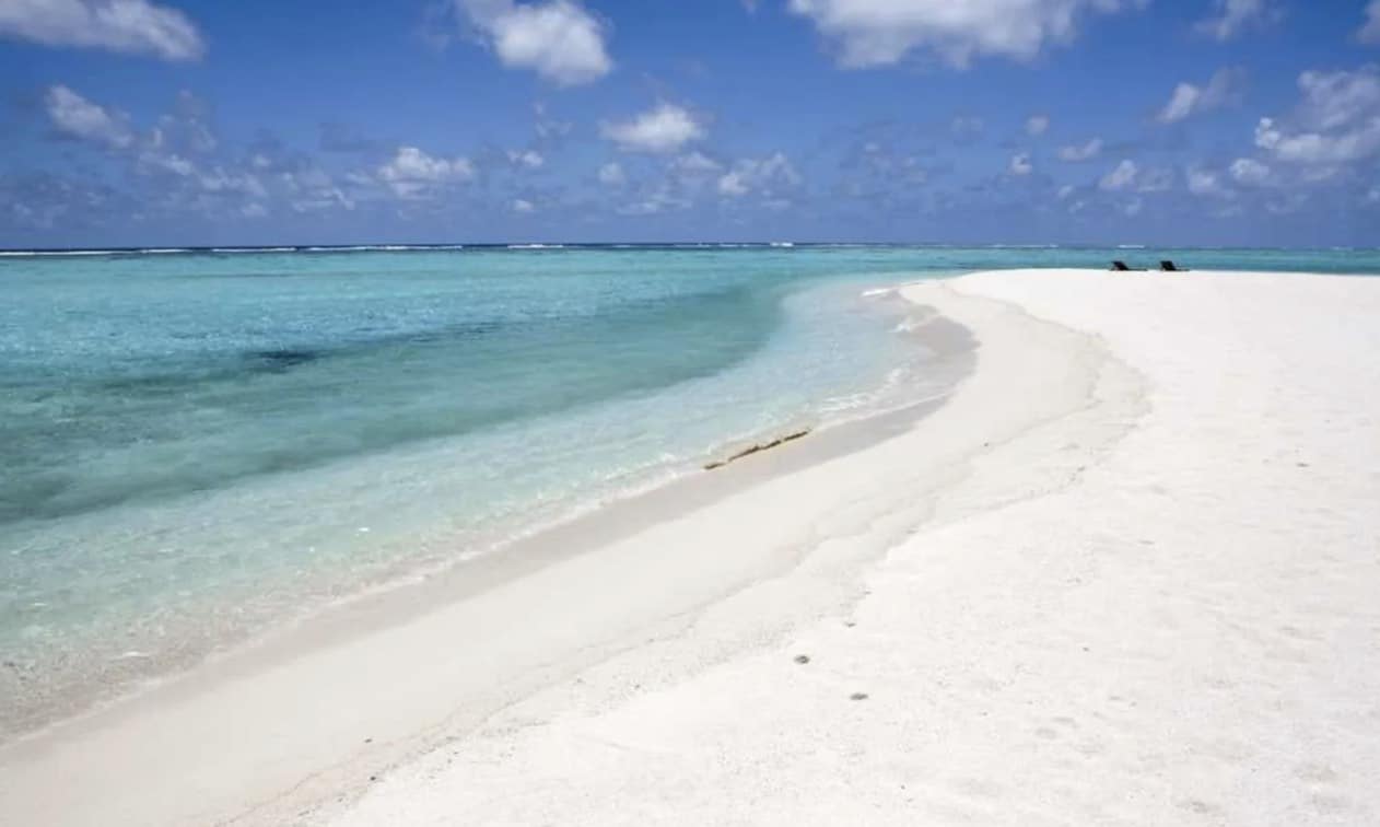 The weather is great so here is The Insider’s Guide to Saadiyat Island ...