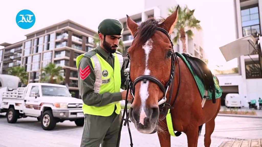 Stirrup Trouble – Dubai Mounted Police Fighting Crime - The Insider ...