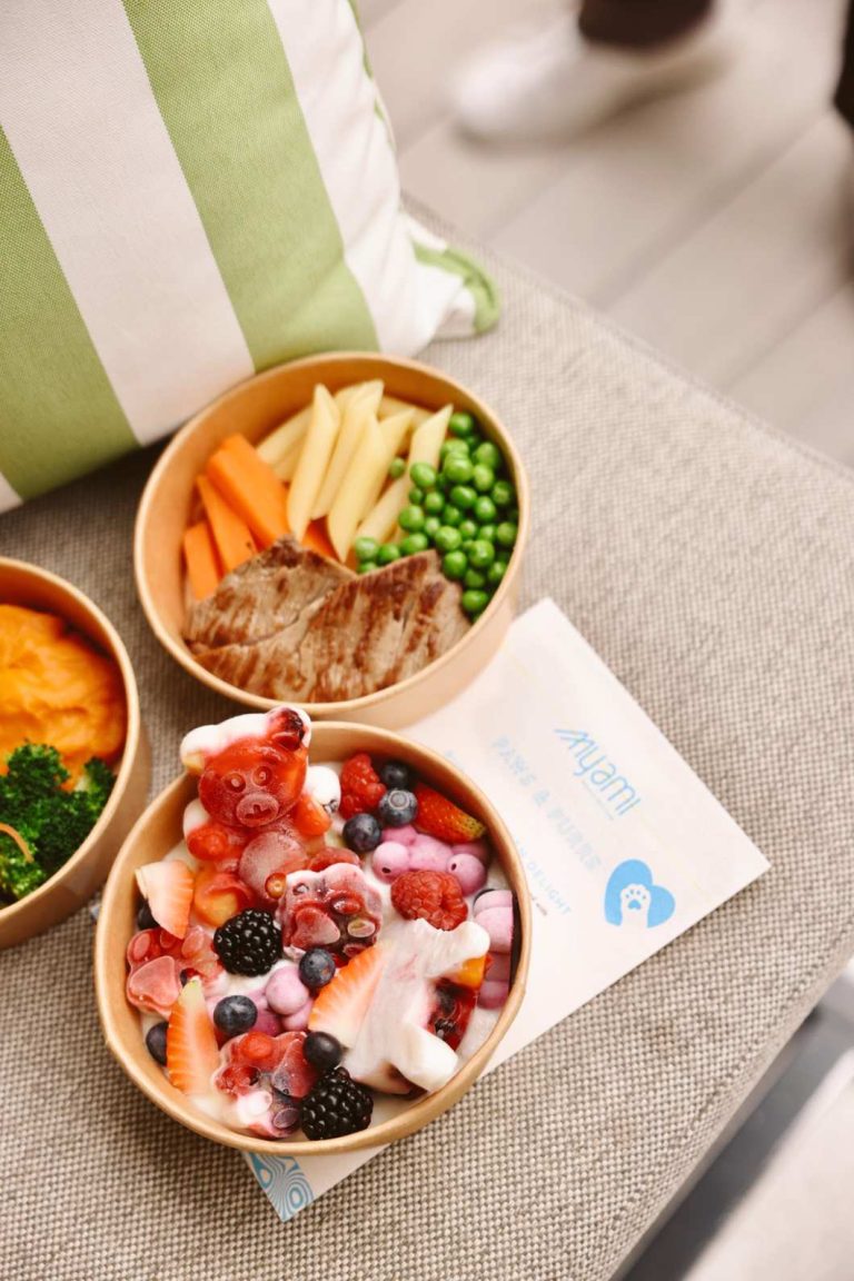 MYAMI’s New Paws & Purrs Menu Welcomes Four-Legged Guests! - The ...